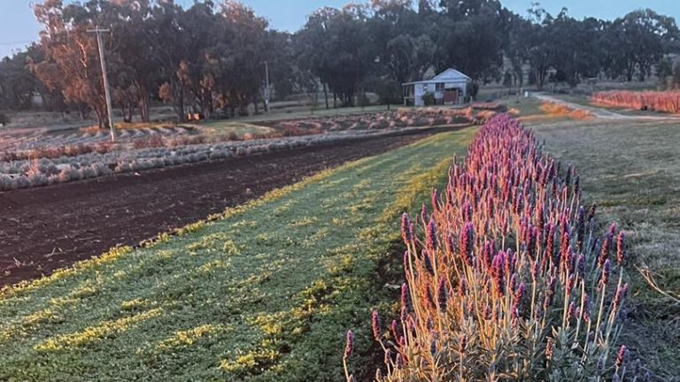 Interactive Map - Inverell Council